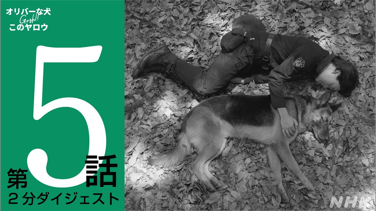 [オリバーな犬] 第5話 2分で分かるダイジェスト | シーズン2 | ドラマ10 | NHK - MAGMOE