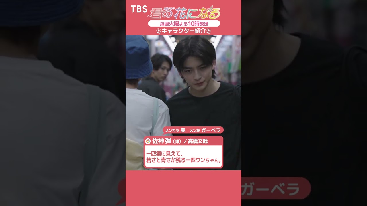 佐神弾編💐 #キャラクター紹介『#君の花になる』 #ブルーム #8LOOM #高橋文哉 #TBS - MAGMOE