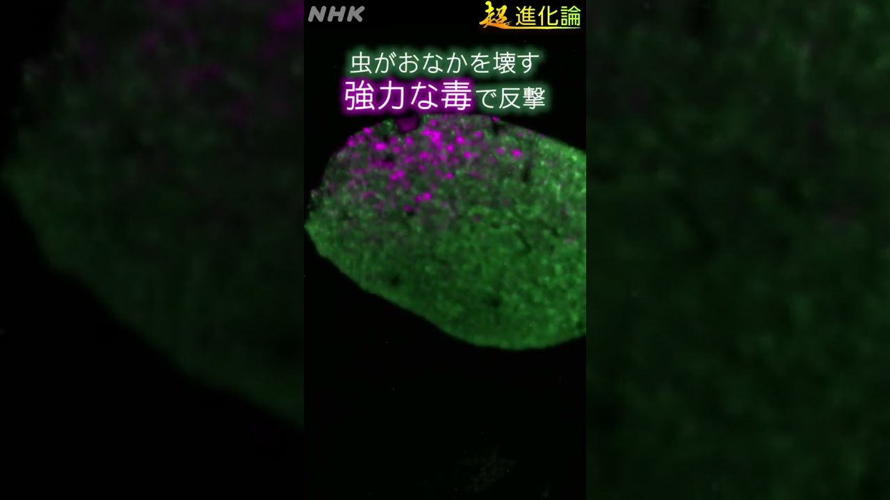 【超進化論】驚き！植物は超敏感だった | NHKスペシャル | NHK | #shorts - MAGMOE