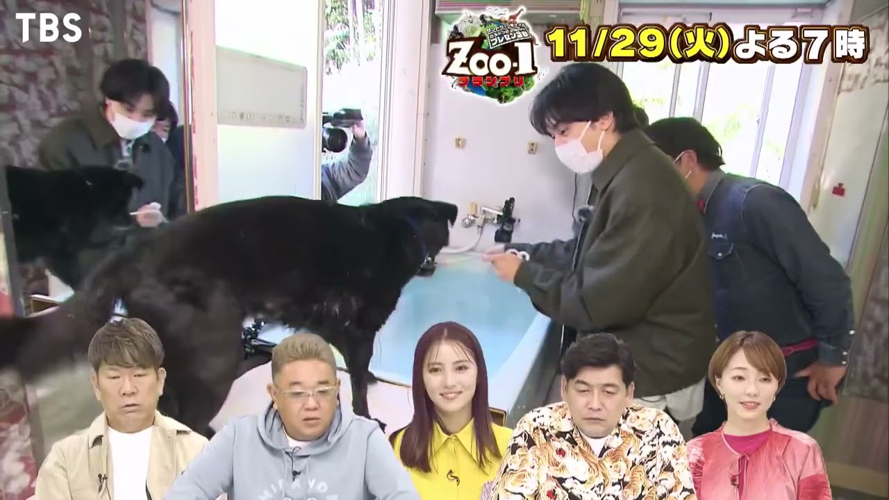 タレント犬と中島健人の絆！映画の舞台裏に迫る!!『ZOO-1グランプリ』11/29(火)【TBS】 - MAGMOE