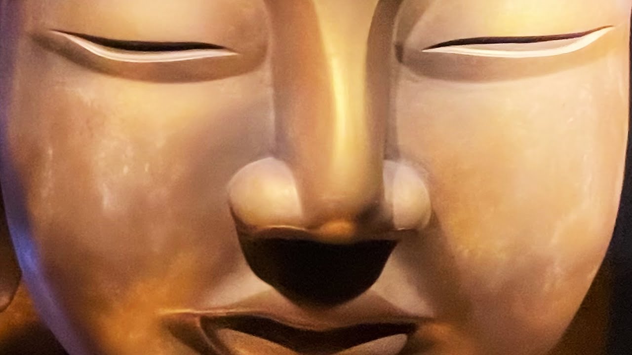 #190【山田】僕らはただ、山田を癒したかっただけなのにの日 - MAGMOE