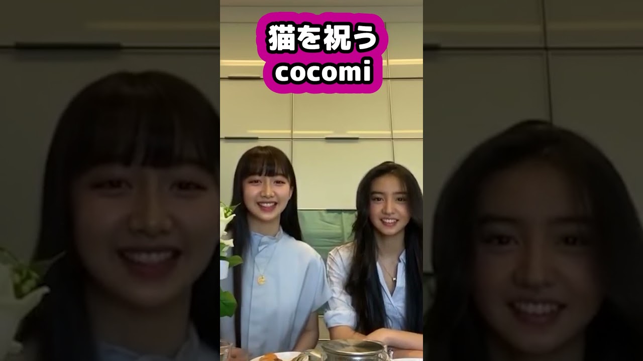【キムタク娘】猫にお誕生日おめでとう #cocomi #koki #キムタク #娘 #工藤静香 #Shorts - MAGMOE