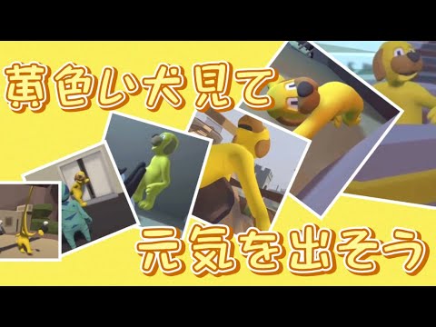 黄色い犬（CV:高地優吾）を見て元気を出そう！ - MAGMOE