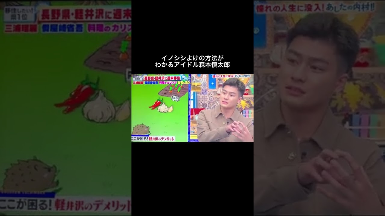 鉄腕DASHでの知識が生かされてるね☺️💭#SixTONES#森本慎太郎#あしたの内村#おすすめ - MAGMOE