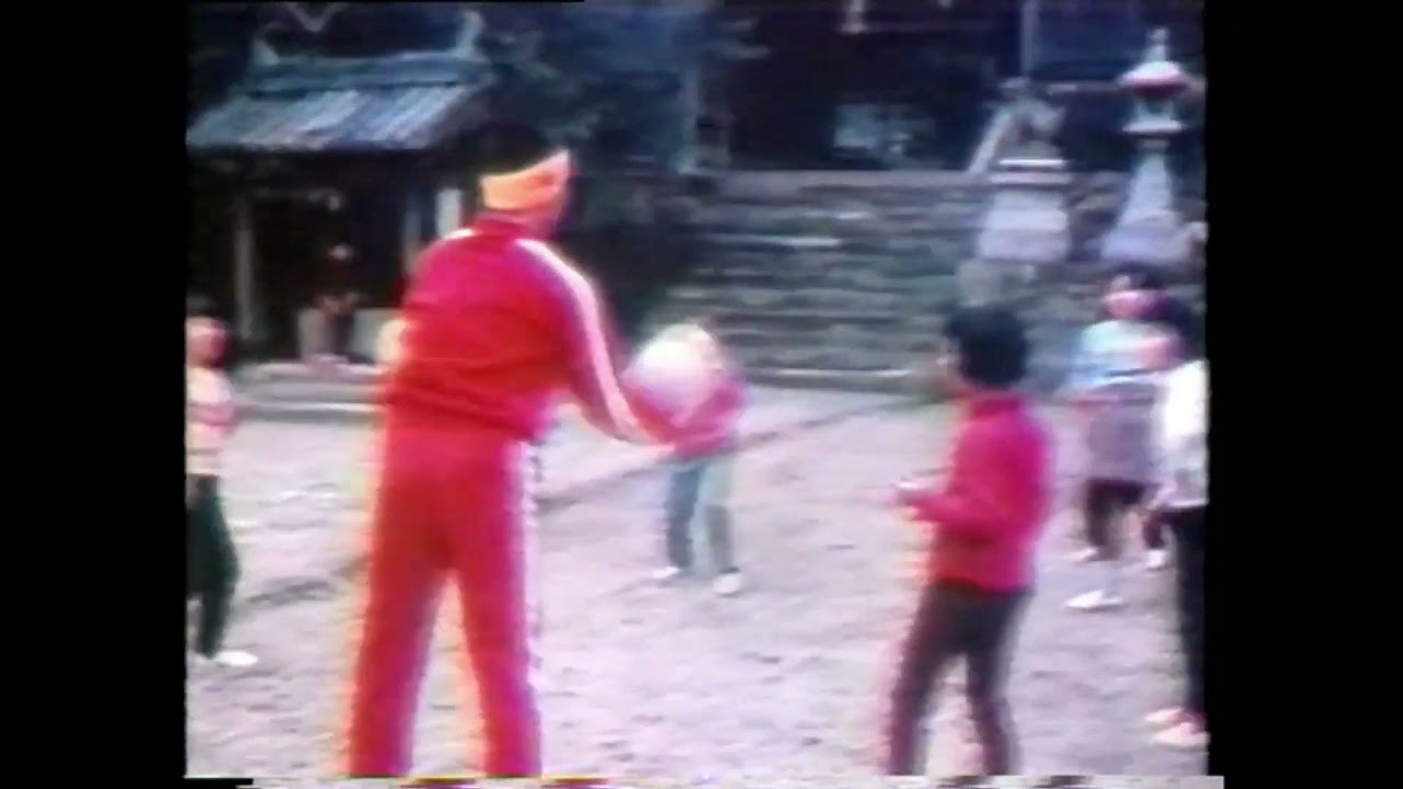 島本講平2 南海ホークス 1975 - MAGMOE