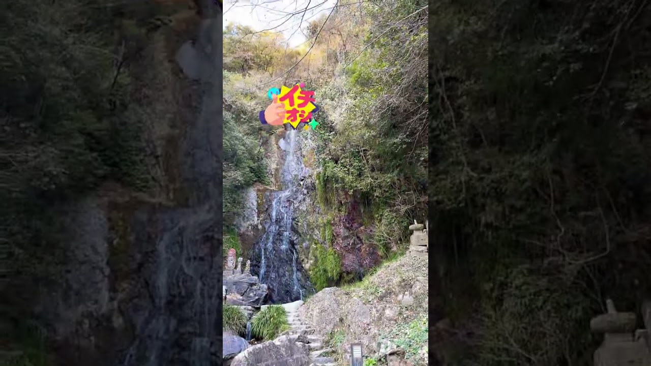 滝沢秀明 tiktokライブ 2023年03月05日 16時34分45秒 h takizawa official - MAGMOE