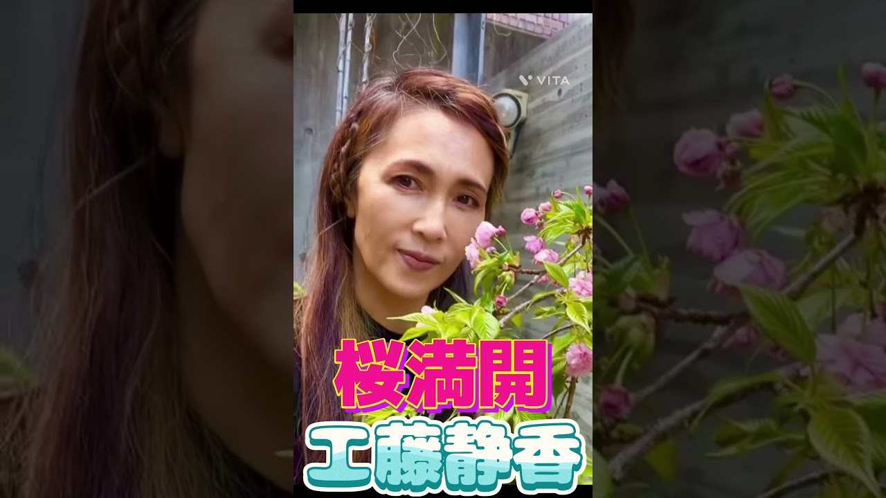 工藤静香、桜満開。#Shorts#木村拓哉#koki - MAGMOE