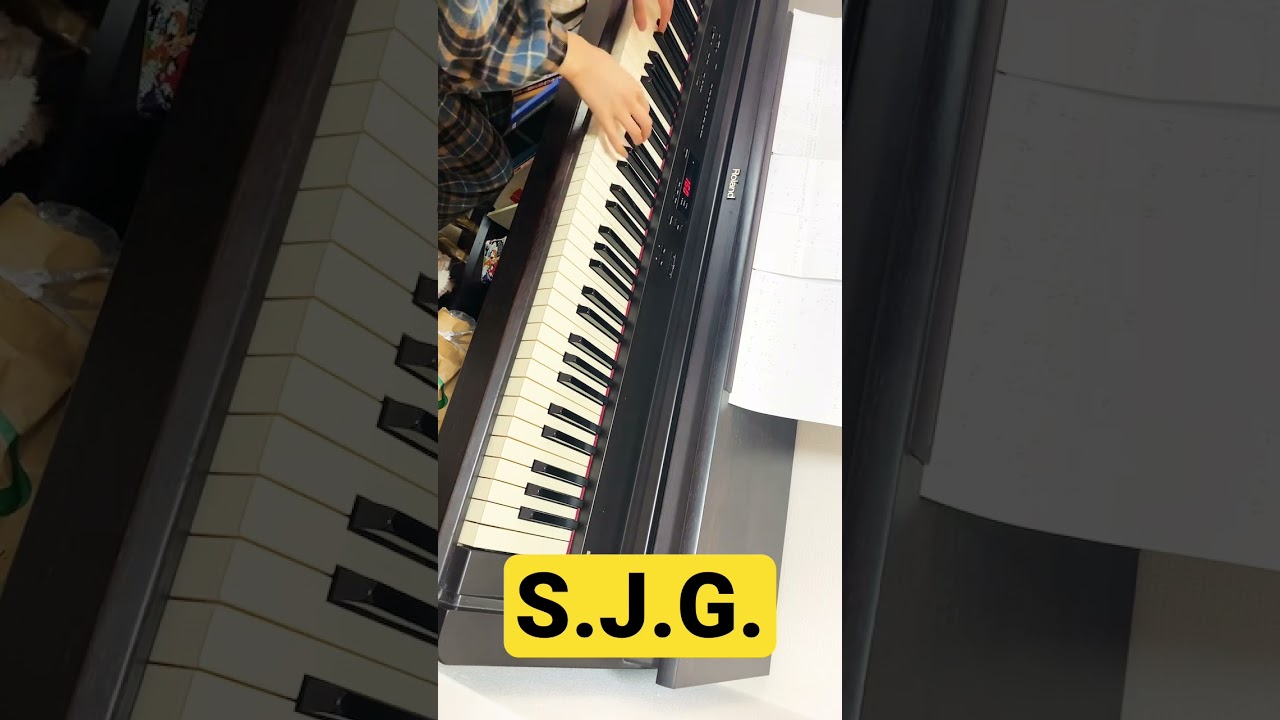 S.J.G.弾いてみた - MAGMOE