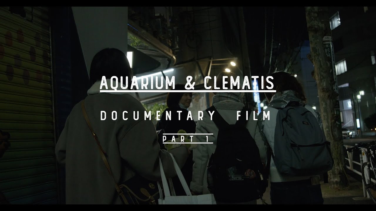 水槽とクレマチス DOCUMENTARY FILM【PART 1】 - MAGMOE
