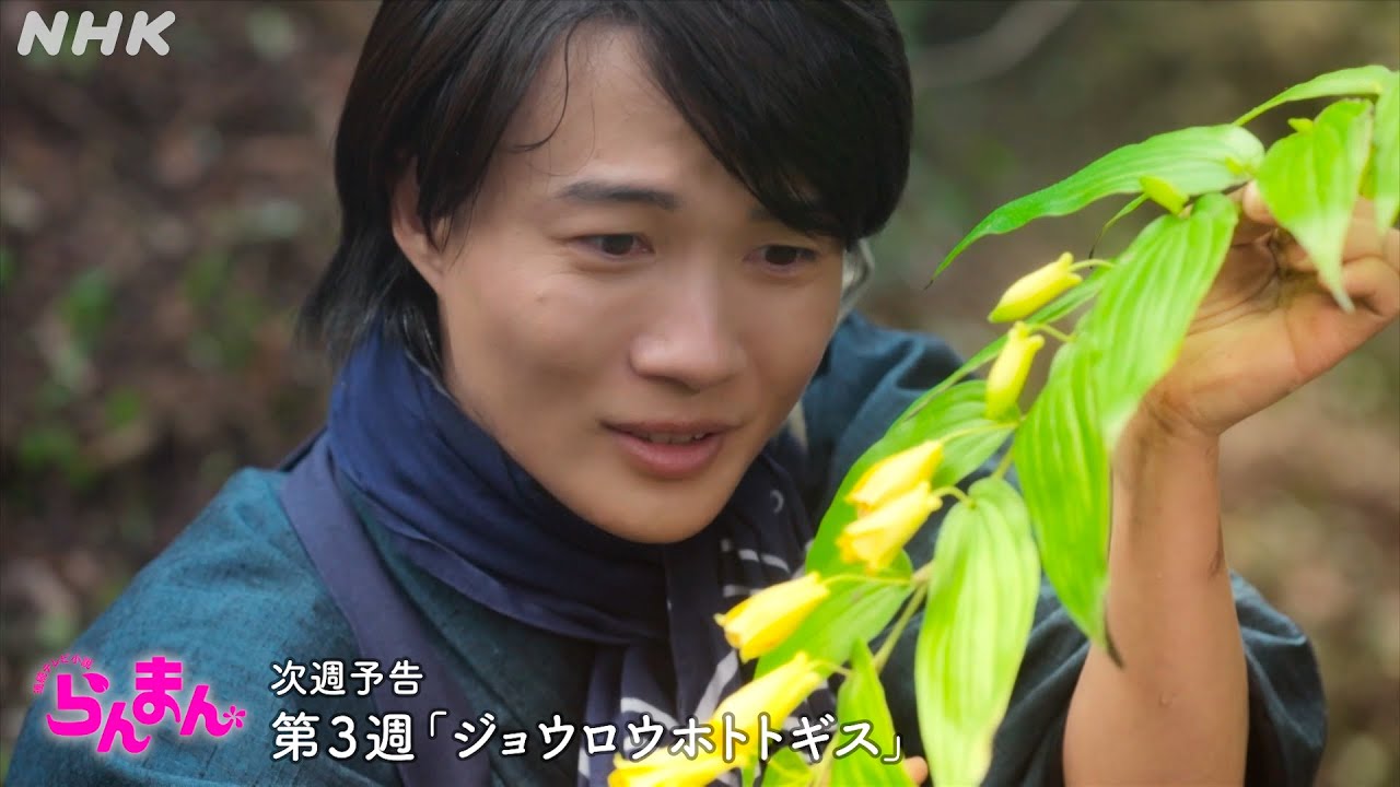 [らんまん] 第3週「ジョウロウホトトギス」次週予告 | 朝ドラ | NHK - MAGMOE