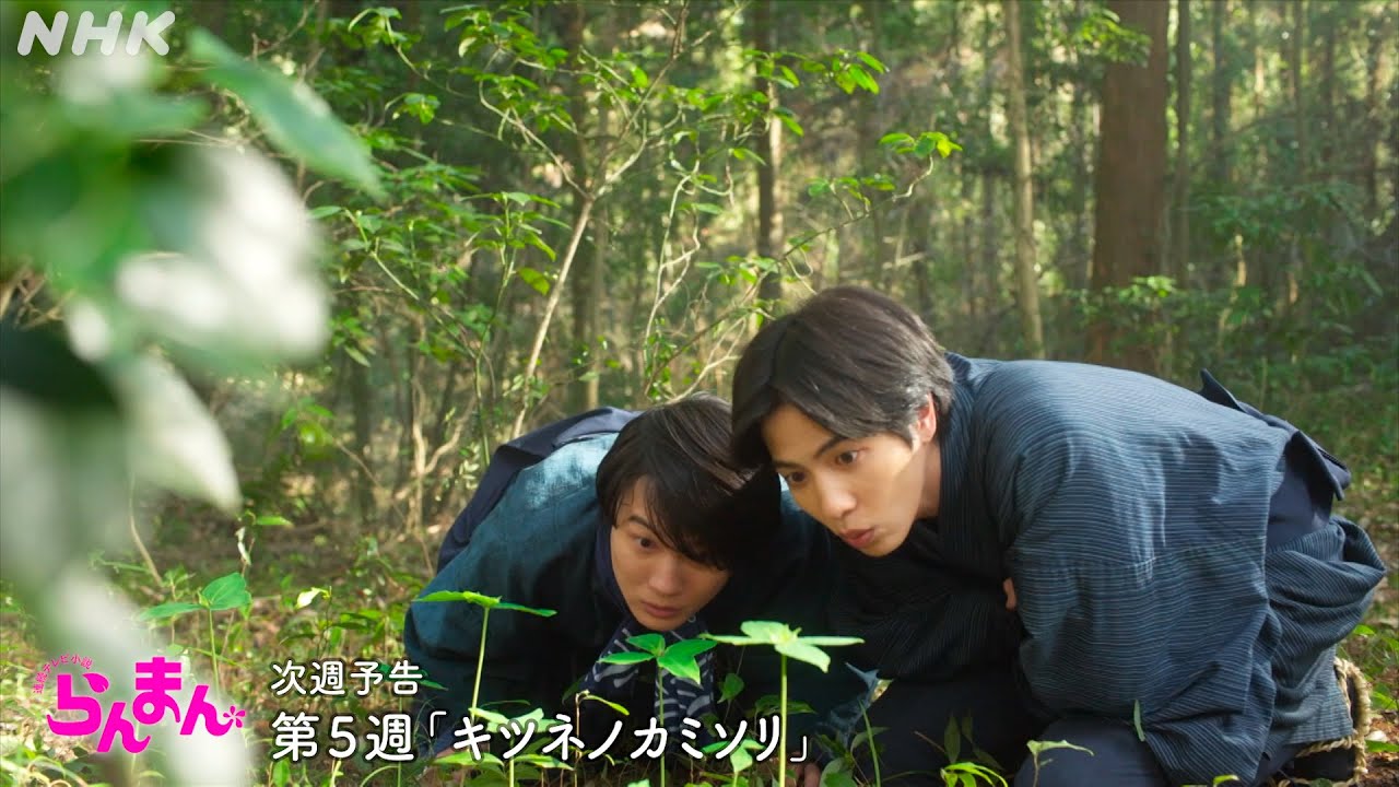 [らんまん] 第5週「キツネノカミソリ」次週予告 | 朝ドラ | NHK - MAGMOE