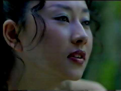 コスモ石油 コスモ・ザ・カード「エコ」 菊川怜 - MAGMOE