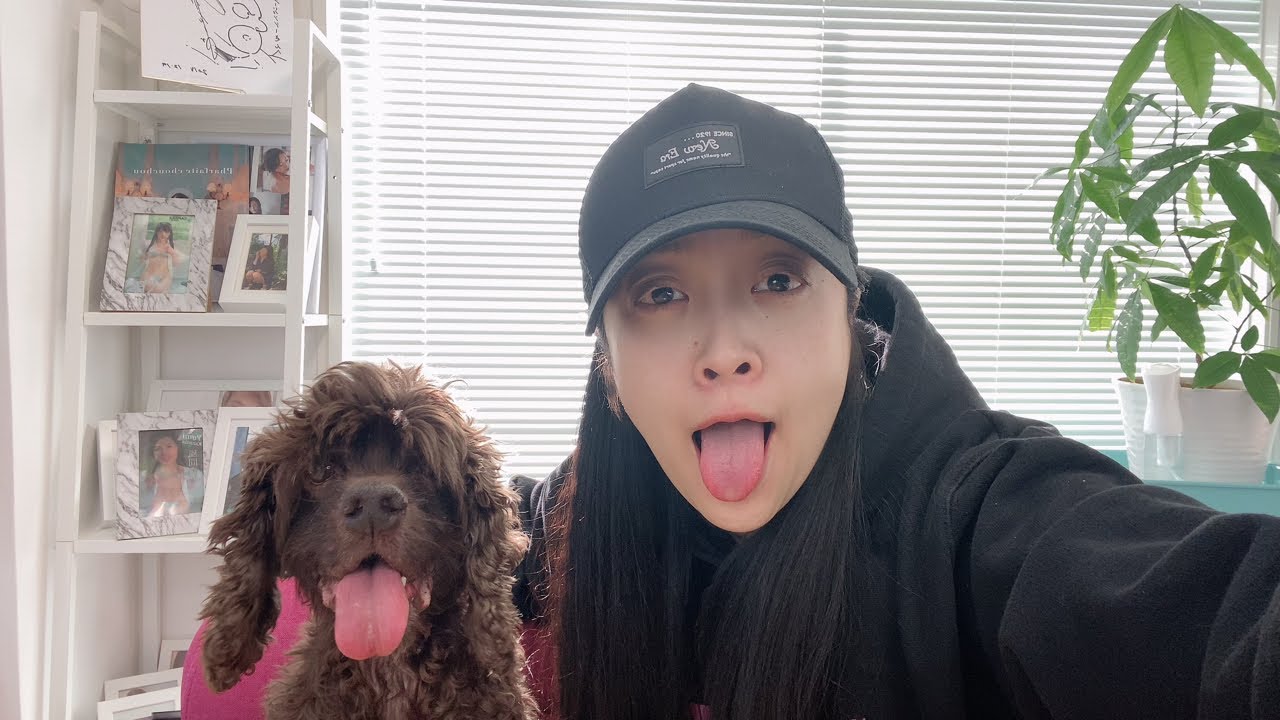 小向375チャンネル がライブ配信中！ - MAGMOE