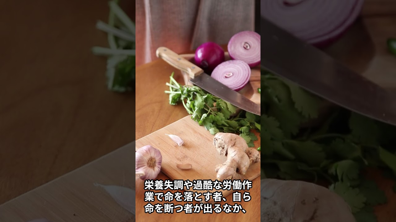 【あらすじ紹介】ラーゲリより愛を込めて #辺見じゅん #shots - MAGMOE