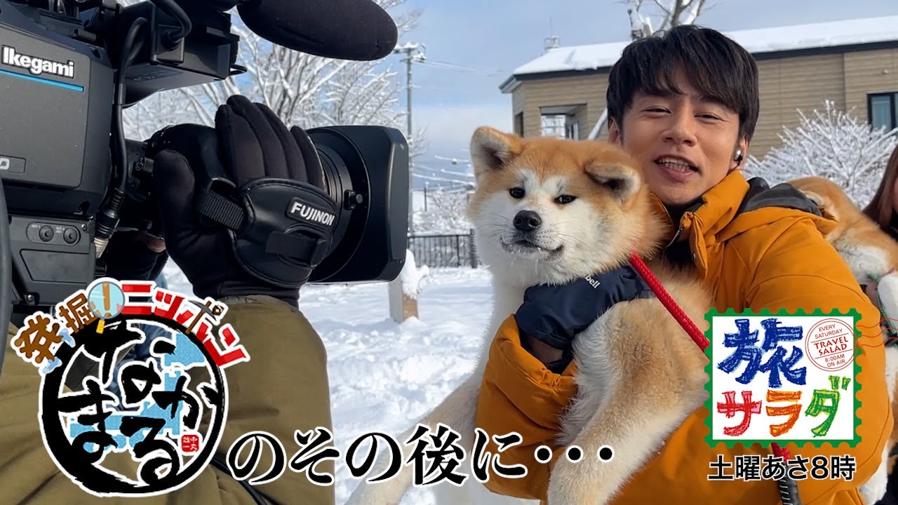 【発掘！ニッポン なかまる印】のその後に・・・＃41 - MAGMOE