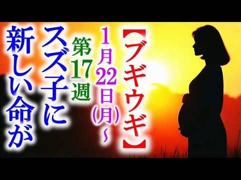 【ブギウギ】朝ドラ第17週 スズ子は赤ちゃんができるのだが…連続テレビ小説第16週感想 - MAGMOE