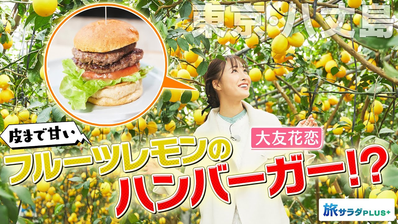 【大友花恋in八丈島】島の名産フルーツレモンでハンバーガー!? レモンサワーで最高の〆〈ロコレコ！〉 - MAGMOE