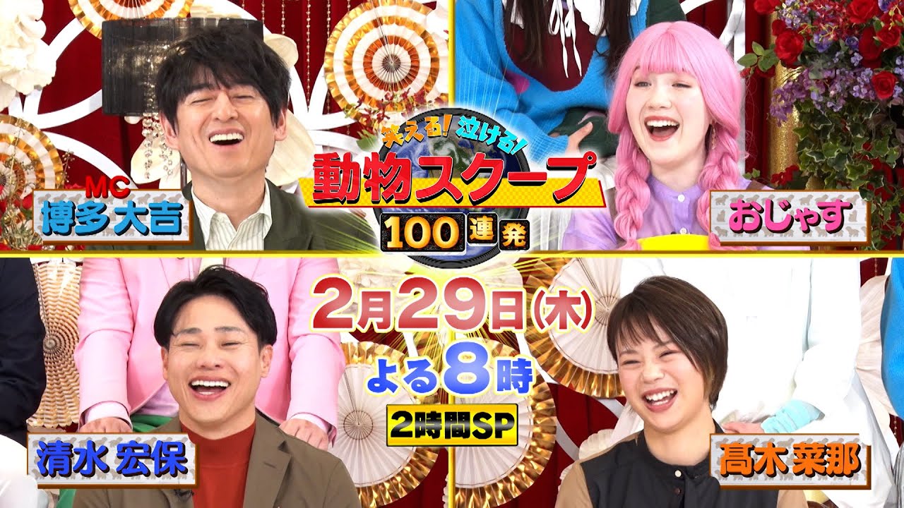 寝たいご主人vs起こしたい動物…可愛すぎる胸キュン映像満載!!『動物スクープ100連発』2/29(木)【TBS】 - MAGMOE