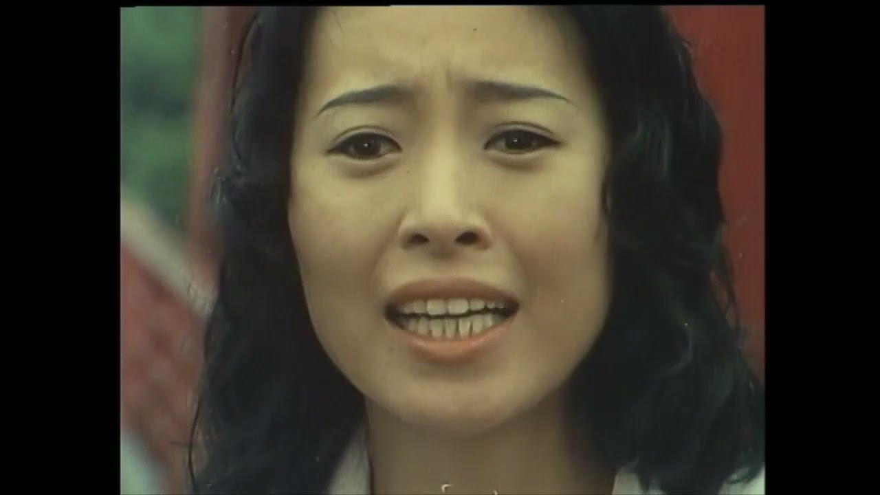 「俺たちの勲章」＜撃て！アラシ＞ シーン3 - MAGMOE