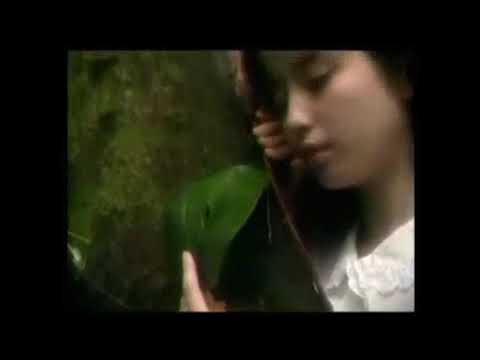 宮沢りえ 1990年「NHKスペシャル」枠の単発ドラマ「緑の果て」OP - MAGMOE