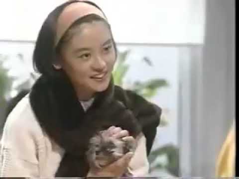 【季節はずれの海岸物語7】'91冬（想い出は美しすぎて）マドンナ：つみきみほ(1/5)主題歌差替版 - MAGMOE