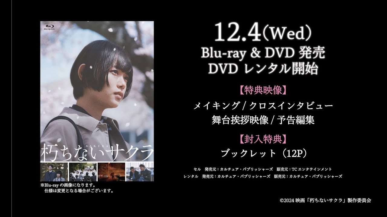 『朽ちないサクラ』Blu-ray&DVD 2024年12月4日(水) 発売決定！ - MAGMOE