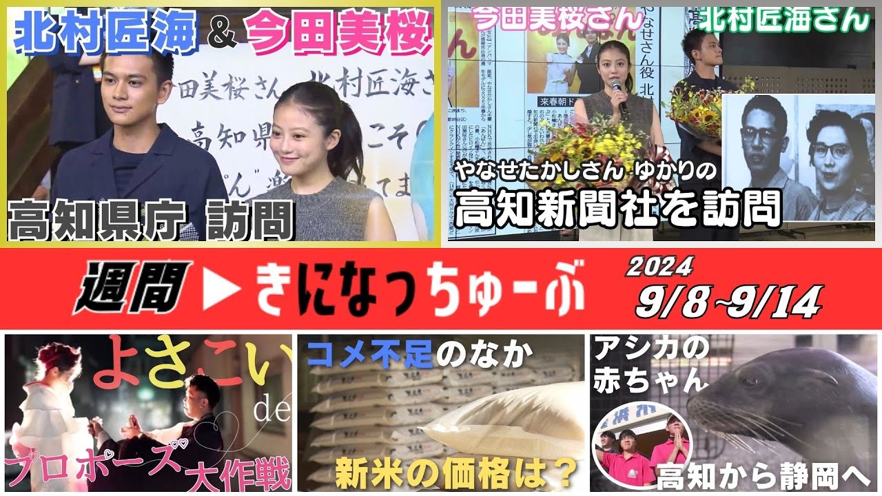 「週間きになっちゅーぶ！投稿動画ランキングTOP5🏆 2024/9/8-9/14」 - MAGMOE