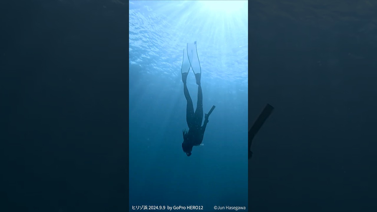 ヒリゾ浜に舞う 2024.9.9 - MAGMOE