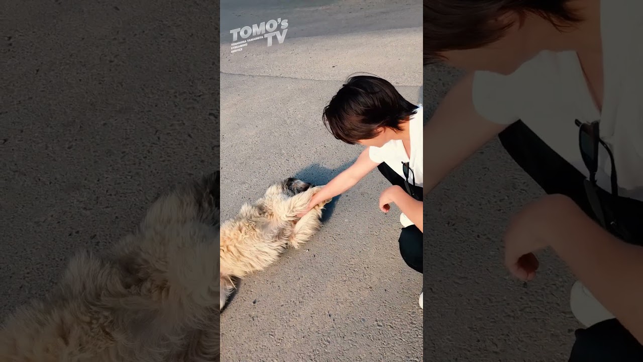 Tomo'TV short#7 - MAGMOE