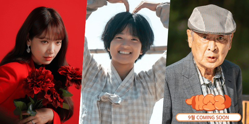 トップ10のうち7人が女優！「11月韓国ドラマ俳優ブランド評判」ベスト5 - DANMEE ダンミ - MAGMOE