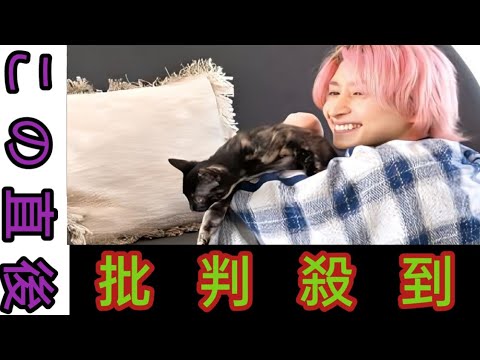 Snow Man佐久間大介さん、愛猫だらけの カメラロール公開 「ここ1年分で1364枚だ ったw」 - MAGMOE