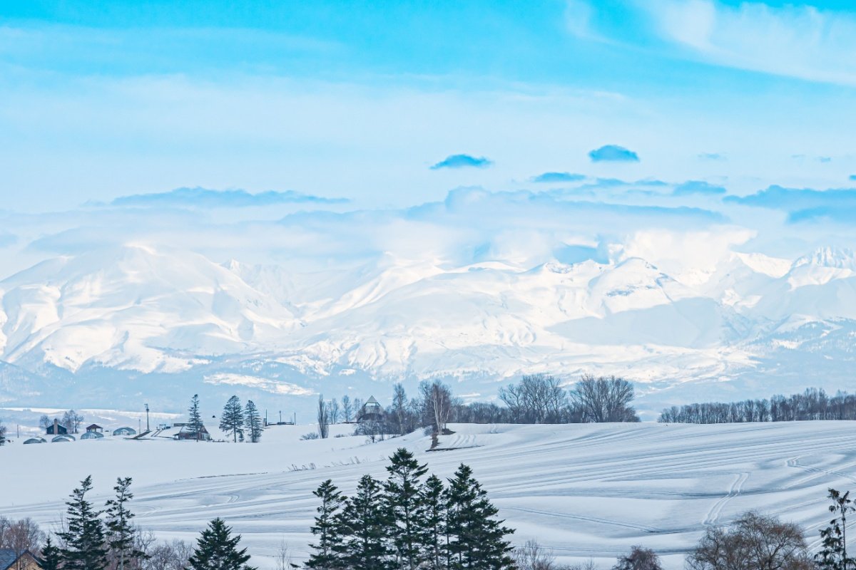 北海道の雪景色に溶け込んでる…？玄関前で眠るうさぎに「本物なの？」「保護色すぎる」と話題に 眠る姿にほっこり | LIMO | くらしとお金の経済メディア - MAGMOE