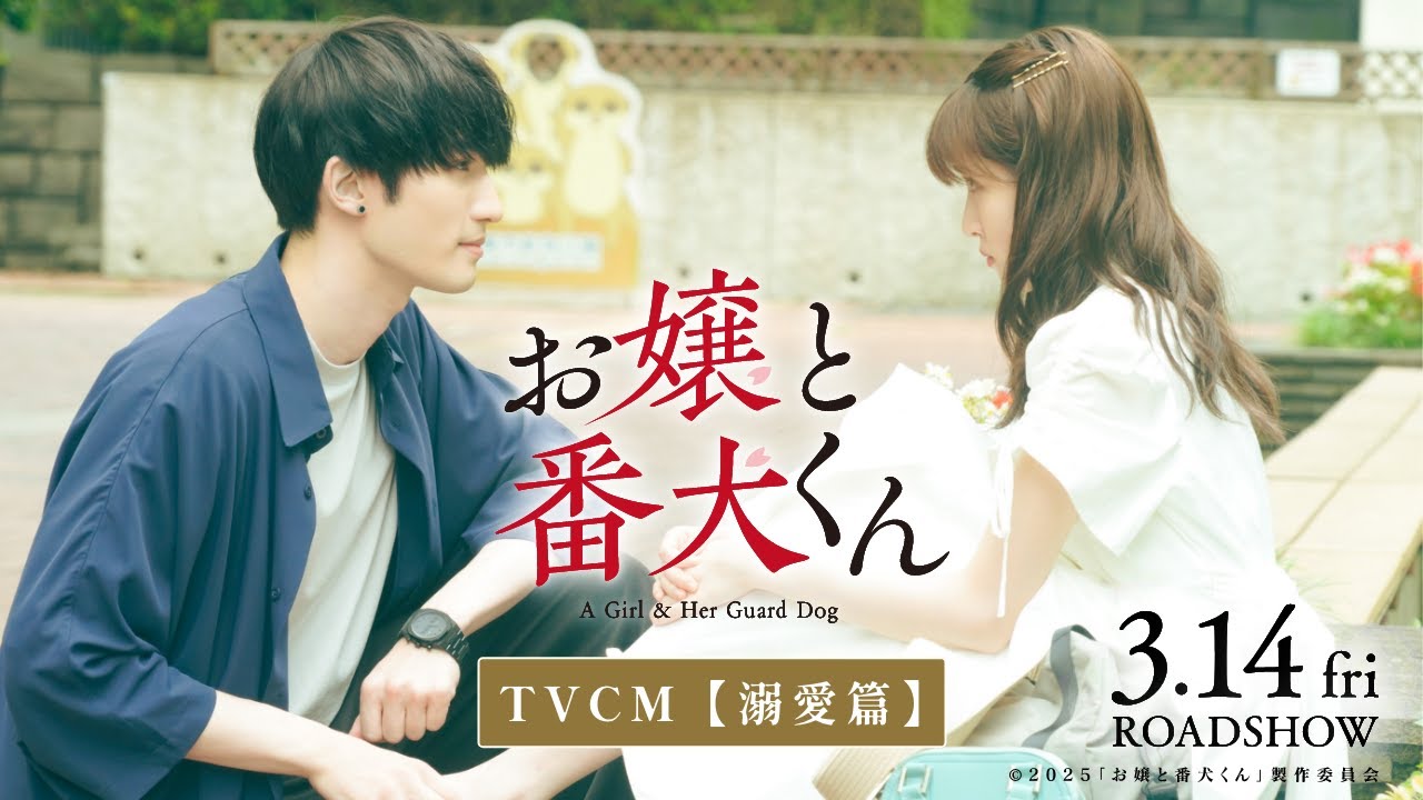 映画『お嬢と番犬くん』TVCM《溺愛篇》【3月14日(金)公開】 - MAGMOE