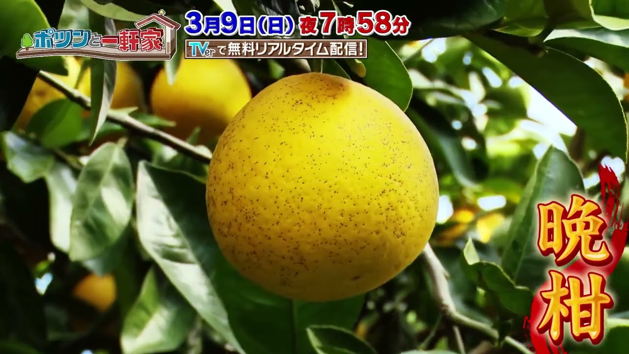 「ポツンと一軒家」3月9日（日）よる7:58放送！ - MAGMOE