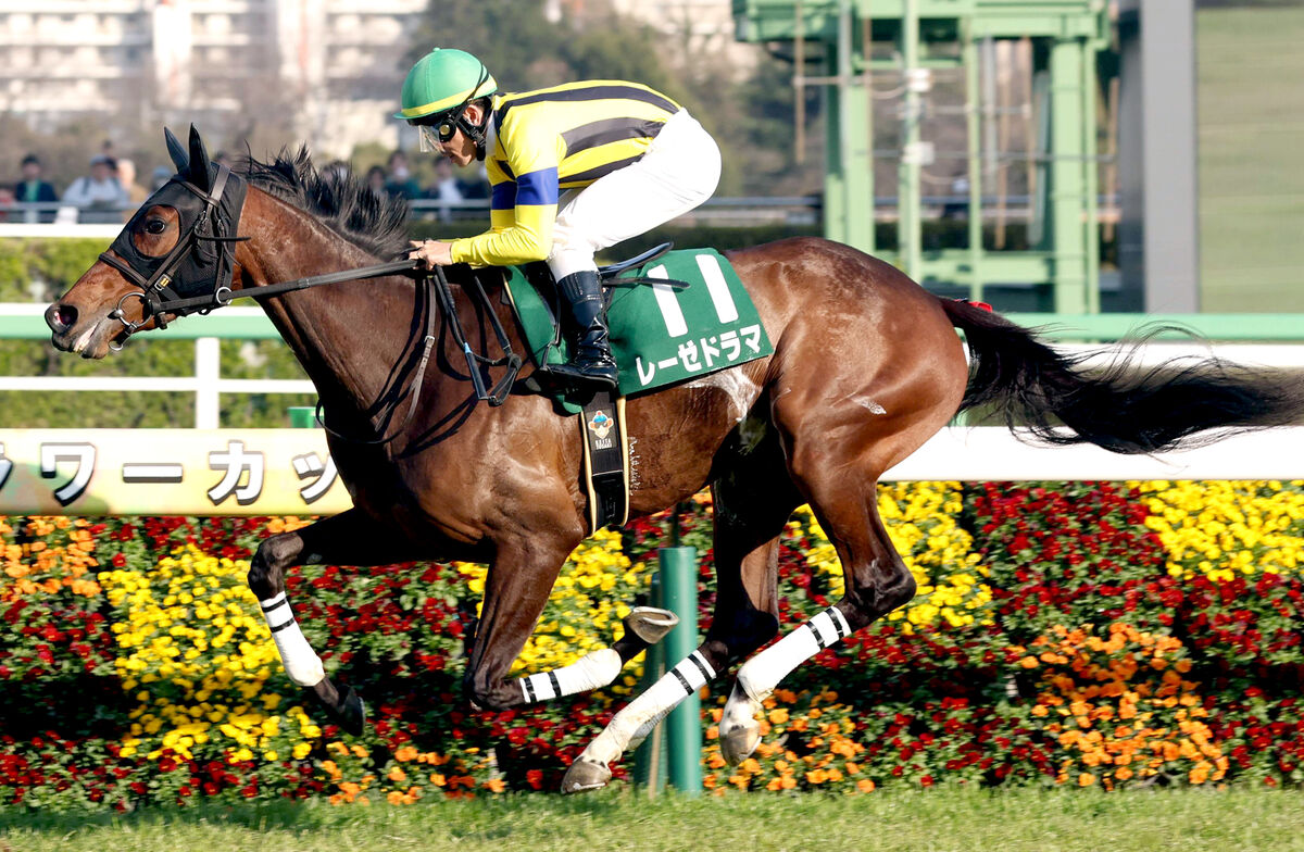 【フラワーC】レーゼドラマが重賞初挑戦V 戸崎圭太騎手「長く脚を使うタフな馬」 辻野厩舎は開業から5年連続タイトル - UMATOKU | 馬トク - MAGMOE