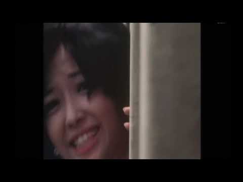 俺たちの旅 第43話エンディング＆第44話予告 竹下景子 - MAGMOE