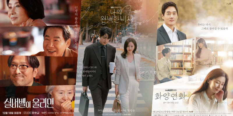 この夏、心に沁みる恋を･･25年7月BS・CS放送「大人のロマンス」韓国ドラマ7選 - DANMEE ダンミ - MAGMOE