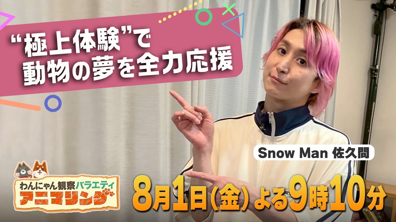Snow Man 佐久間大介が“極上体験”で動物の夢を全力応援!『アニマリング』8/1(金)【TBS】 - MAGMOE
