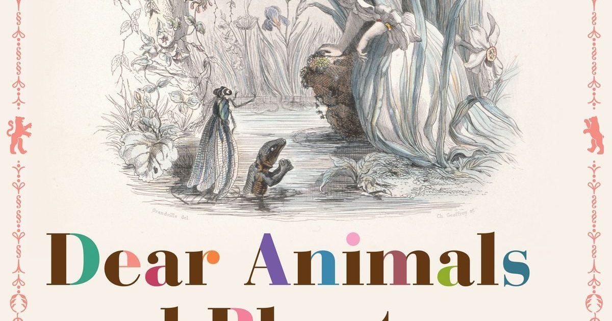 【プレビュー】「Dear Animals and Plants－親愛なる仲間たち－」群馬県立館林美術館で1月17日から 約70点の動物と植物の ...